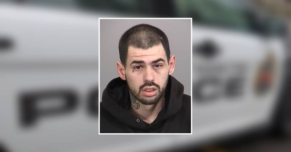 30-year-old still on life support as Hamilton murder suspect remains at ...