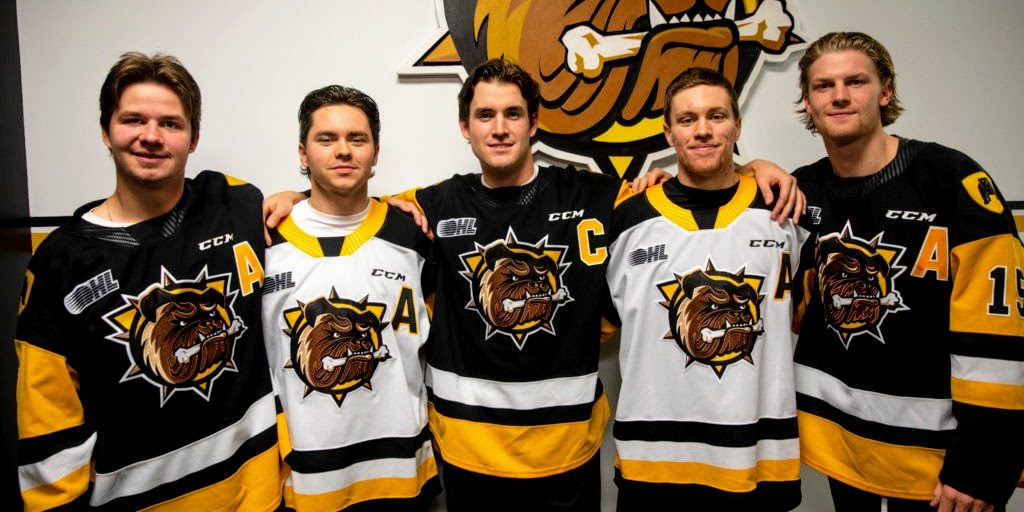 Hamilton Bulldogs name Colton Kammerer 5th captain in franchise history ...