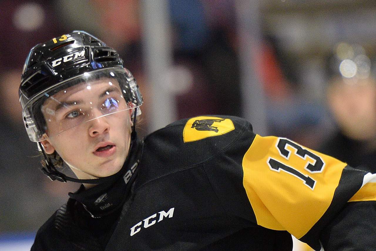 Hamilton Bulldogs one win from putting away Peterborough in OHL first ...