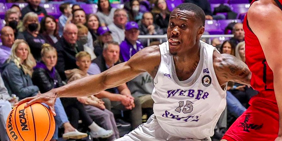Hamilton Honey Badgers add former Weber State guard, Toronto-native ...