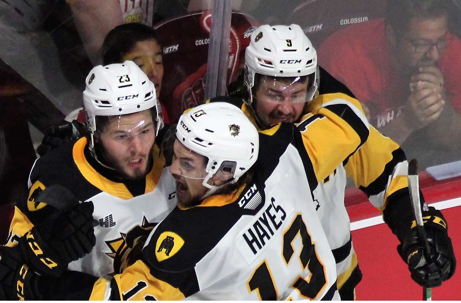Hamilton hockey history: an OHL final Game 7 primer before the Bulldogs ...