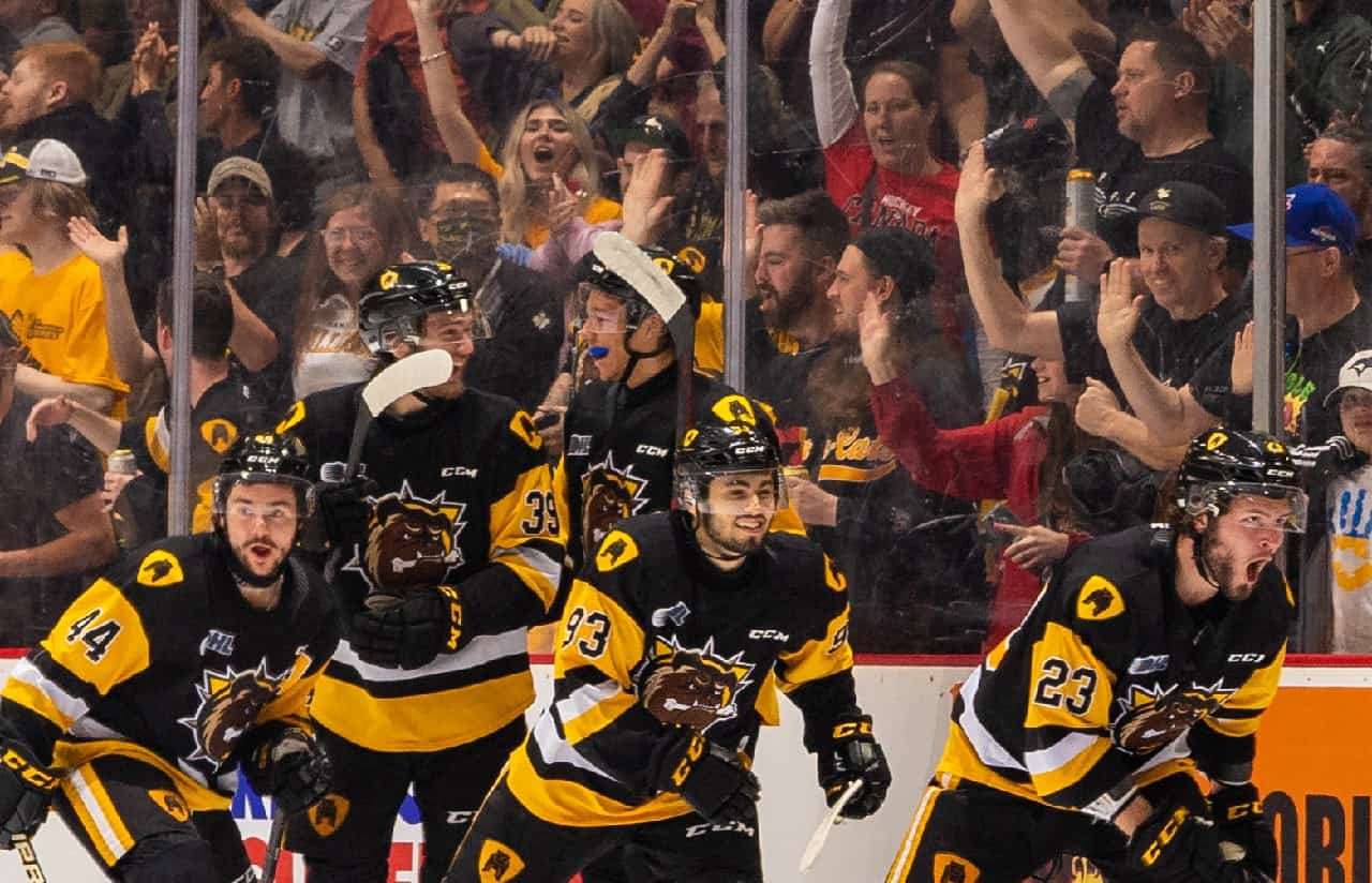 For Game 7, Hamilton Bulldogs selling upper bowl seats in FirstOntario ...