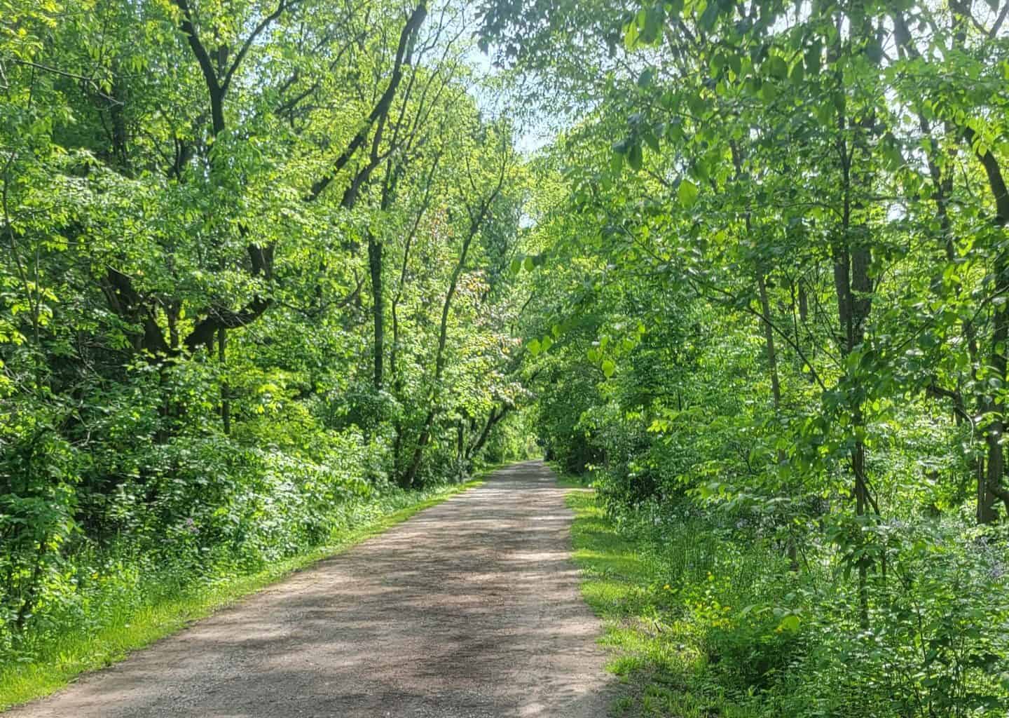 Section of popular Hamilton Rail Trail closing for repairs May 30 and ...